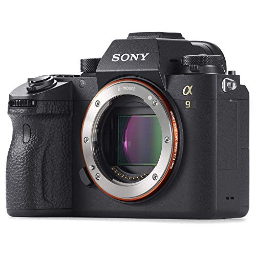 Sony Alpha a9 Mirrorless Digital Camera (International Model) Standard Accessory Bundle w/ 24-105mm Lens