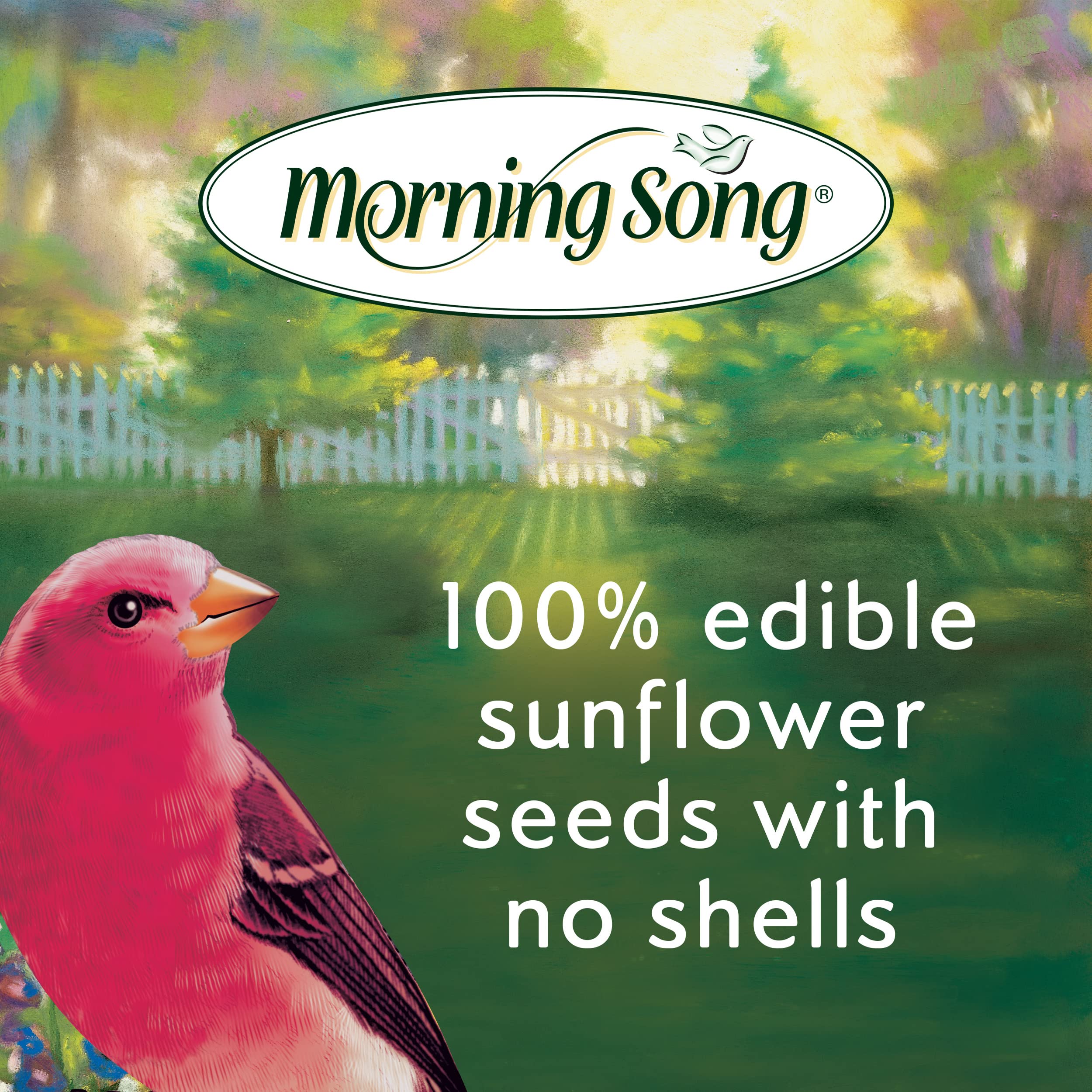 Morning Song Sunflower Wild Bird Food Bundle (5.5 lbs) | Wagner's Safflower Seed (5 lbs)