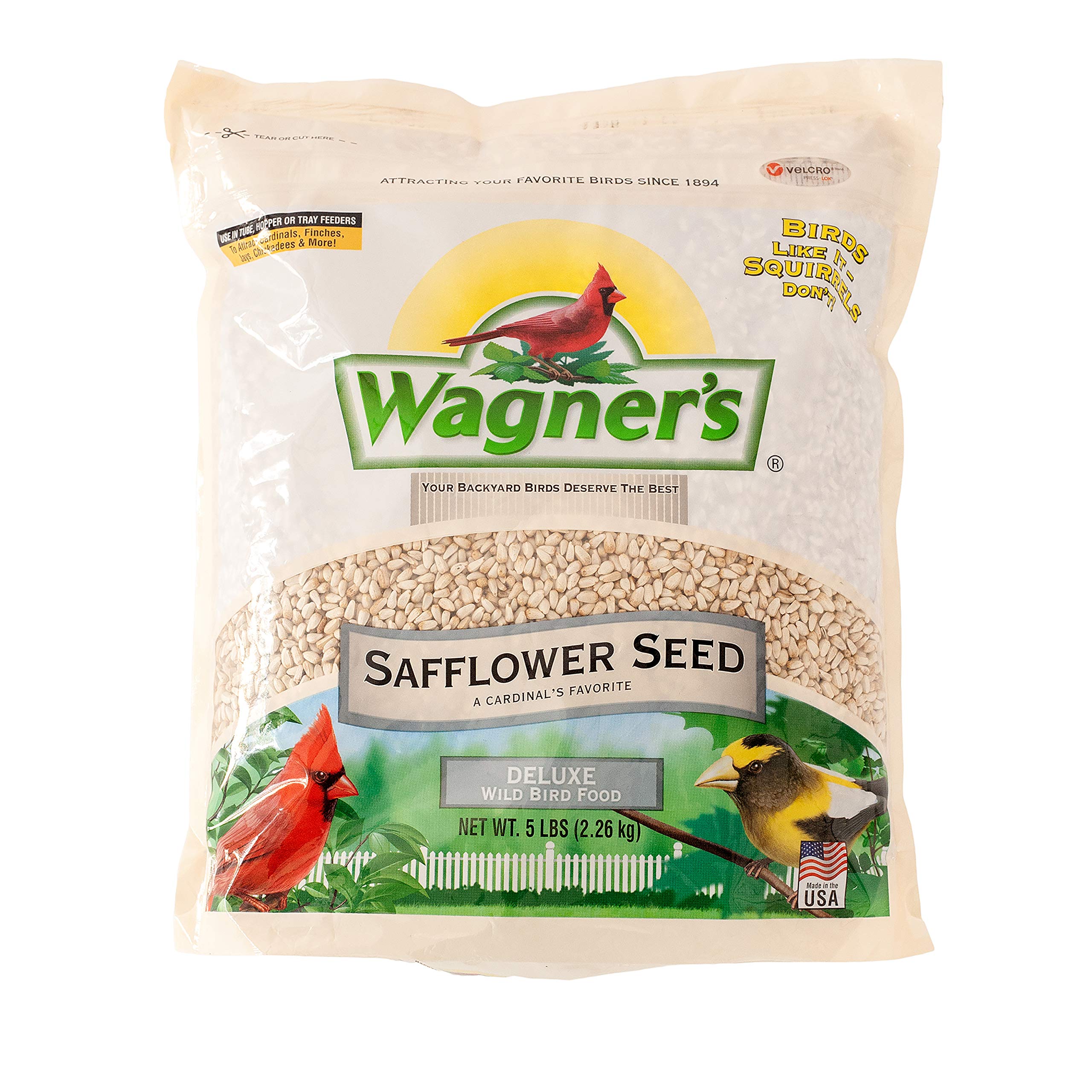 Morning Song Sunflower Wild Bird Food Bundle (5.5 lbs) | Wagner's Safflower Seed (5 lbs)