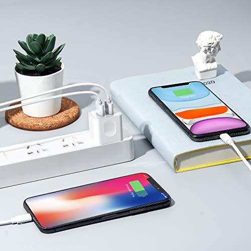 iPhone Charger, 2 Port USB Plug Wall Charger Travel Adapter with MFi Certified 2Pack 3FT Lightning Cable Compatible with iPhone 11 Pro Max/11 Pro/11/Xs Max/Xs/XR/X/8/7/6/SE and More