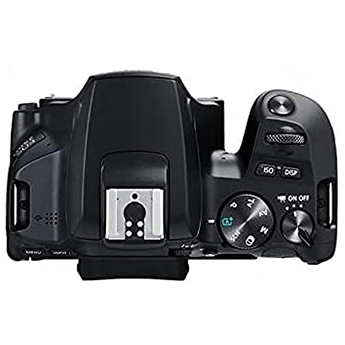 Canon EOS 250D (Rebel Sl3) DSLR Camera Body Only (No Lens) + 32GB Memory + Case + Tripod (20pc Bundle) (Renewed)