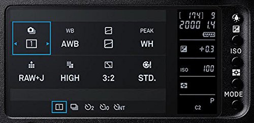 Sigma sd Quattro Digital Mirrorless Camera Body