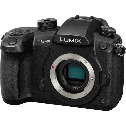 Panasonic Lumix DC-GH5 Mirrorless Micro Four Thirds Digital Camera 13PC Accessory Bundle – Includes 64GB SD Memory Card + More - International Version (No Warranty)