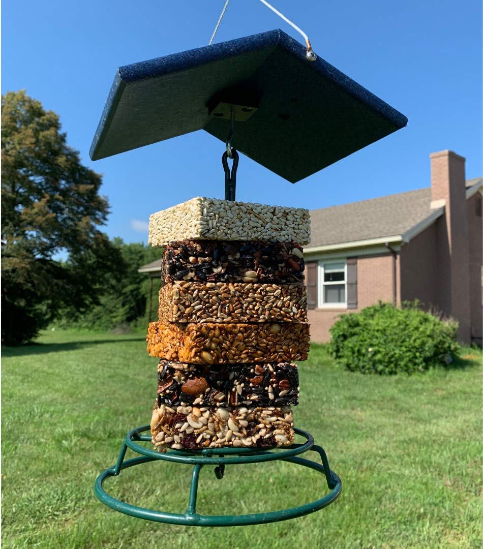 JCs Wildlife 6-Pack Mr. Bird Nut Cake, 8 oz