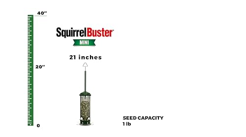 Squirrel Buster Mini Squirrel-proof Bird Feeder w/4 Metal Perches, 1.3lbs Seed Capacity, garden green