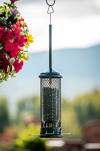 Squirrel Buster Mini Squirrel-proof Bird Feeder w/4 Metal Perches, 1.3lbs Seed Capacity, garden green