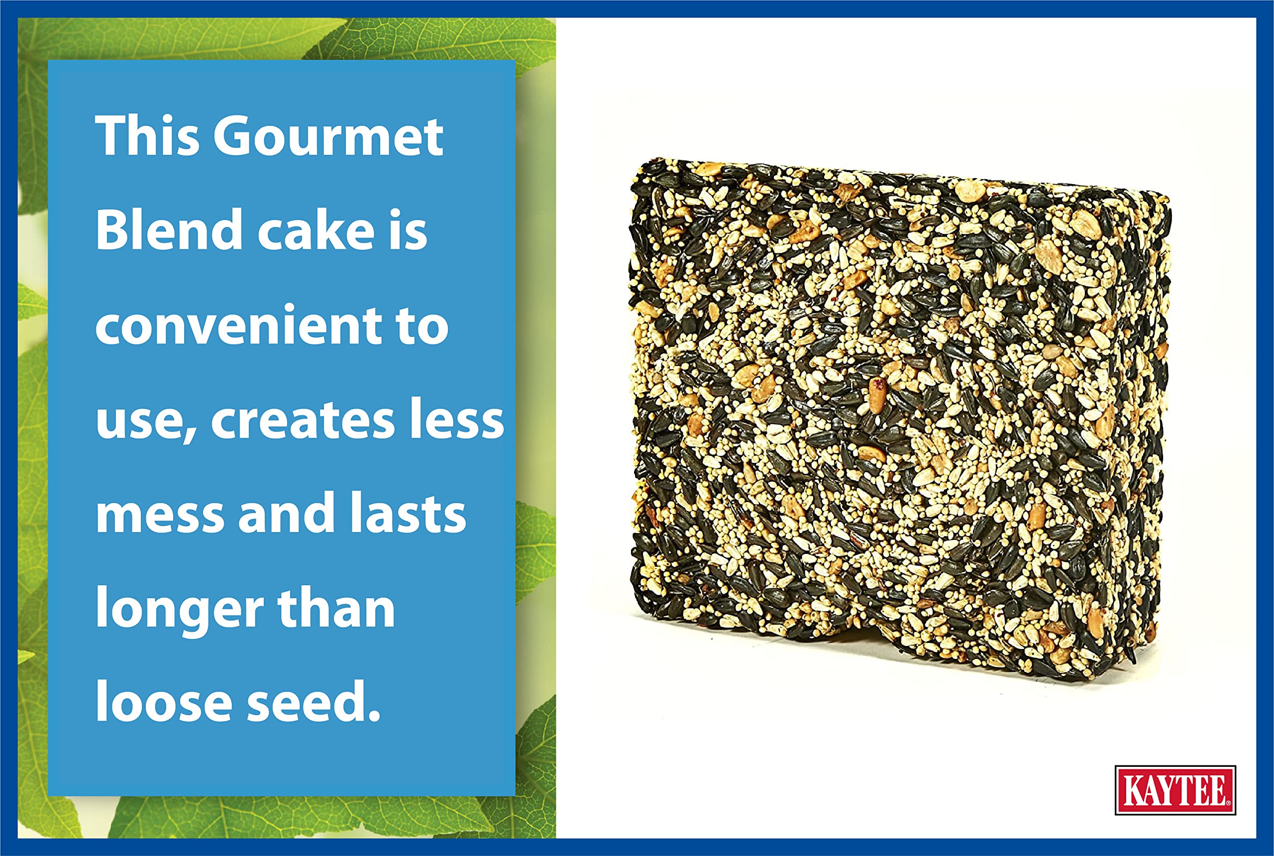Kaytee Wild Bird Gourmet Seed Cake for Cardinals, Chickadees, Juncos, Titmice, Woodpeckers and More, 2 Pounds (Pack of 2)