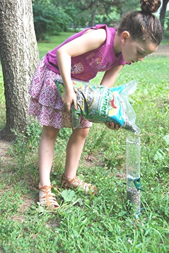 Wagner's 62028 Striped Sunflower Seed Wild Bird Food, 5-Pound Bag