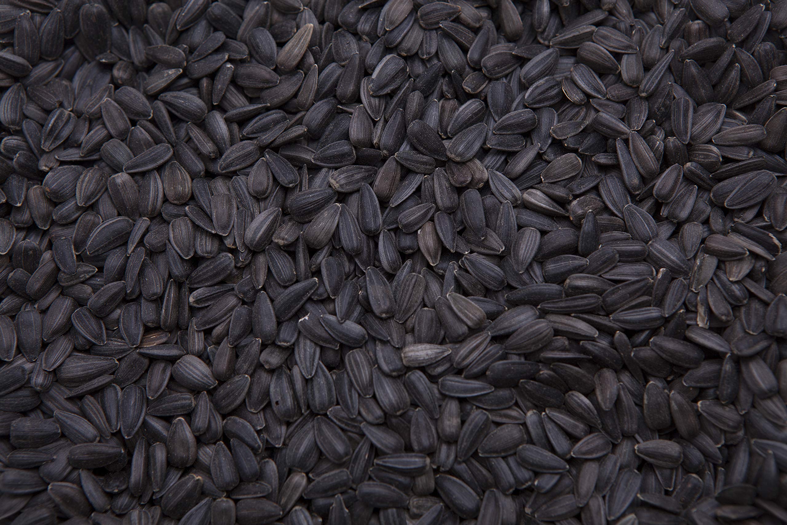 Des Moines Wild Bird Feed Sunflower Seed - Black Oil (7.00)