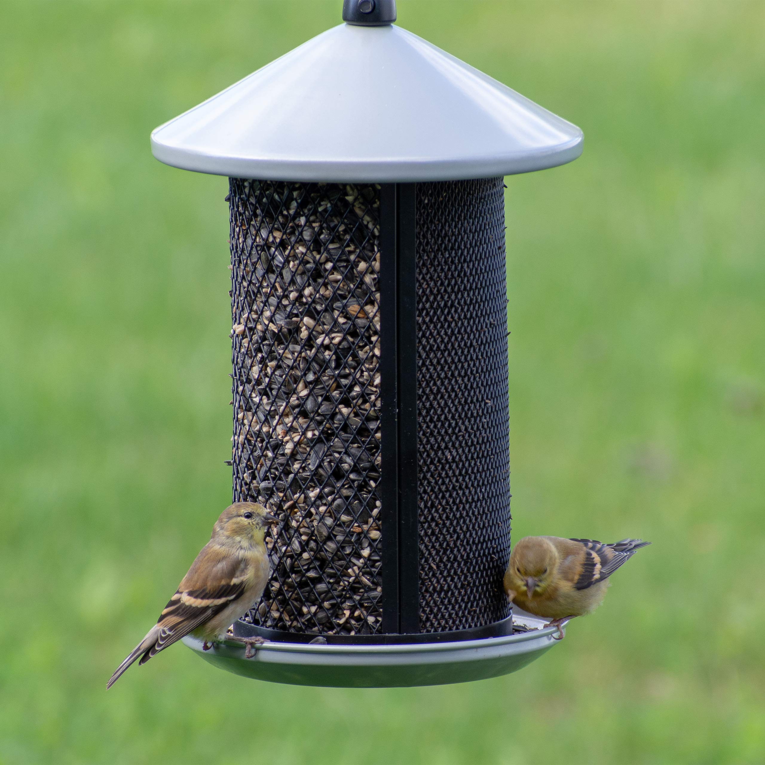 Perky Pet TSS00349 Dual Mesh Wild Bird Seed Feeder