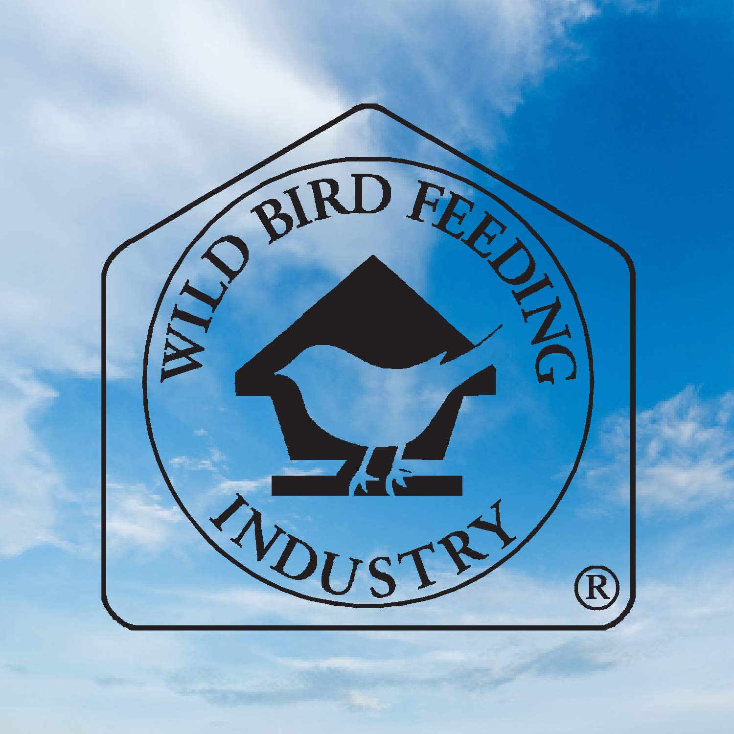 Blue Seal White Safflower Wild Bird Seed | High in Fats and Protein | Attracts Variety of Birds | 4 Pound Bag