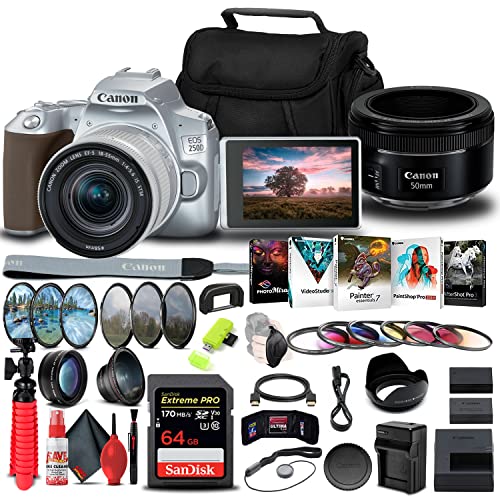Canon EOS 250D / Rebel SL3 DSLR Camera with 18-55mm Lens (Silver) (3461C001) + Canon EF 50mm Lens + 64GB Memory Card + Color Filter Kit + Filter Kit + LPE17 Battery + External Charger + More (Renewed)