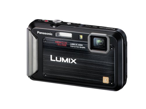 Panasonic Lumix TS20 16.1 MP TOUGH Waterproof Digital Camera with 4x Optical Zoom (Black) (OLD MODEL)