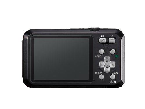 Panasonic Lumix TS20 16.1 MP TOUGH Waterproof Digital Camera with 4x Optical Zoom (Black) (OLD MODEL)