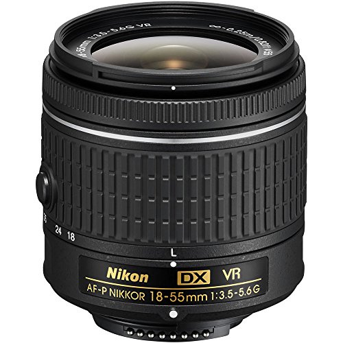 Nikon D3500 24.2MP DSLR Digital Camera with AF-P DX 18-55mm Lens (1590) Deluxe Bundle with 64GB SD Card + Large Camera Bag + Filter Kit + Spare Battery + Telephoto Lens (Renewed)