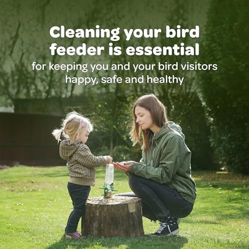 Kaytee Wild Bird Seed & Mealworm Seed Cake Food For Bluebirds, Chickadees, Woodpeckers and More, 1.4 Pound