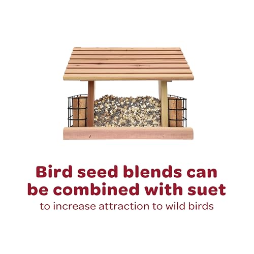 Kaytee Wild Bird Seed & Mealworm Seed Cake Food For Bluebirds, Chickadees, Woodpeckers and More, 1.4 Pound