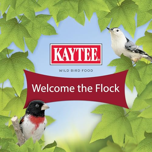 Kaytee Wild Bird Seed & Mealworm Seed Cake Food For Bluebirds, Chickadees, Woodpeckers and More, 1.4 Pound