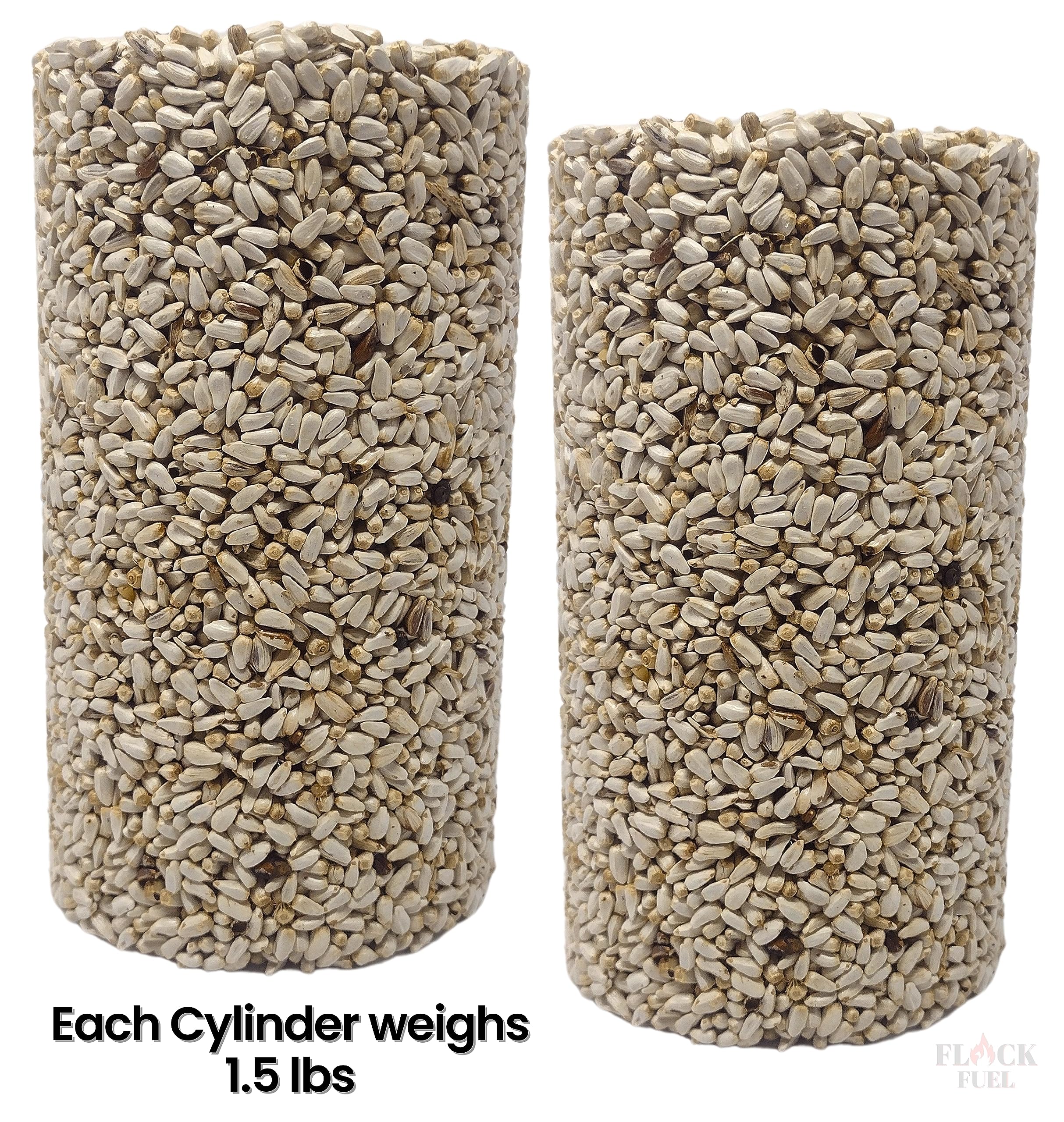 Flock Fuel Safflower Wild Bird Seed Cylinder 2 Pack Bird Seed for Outside Birds