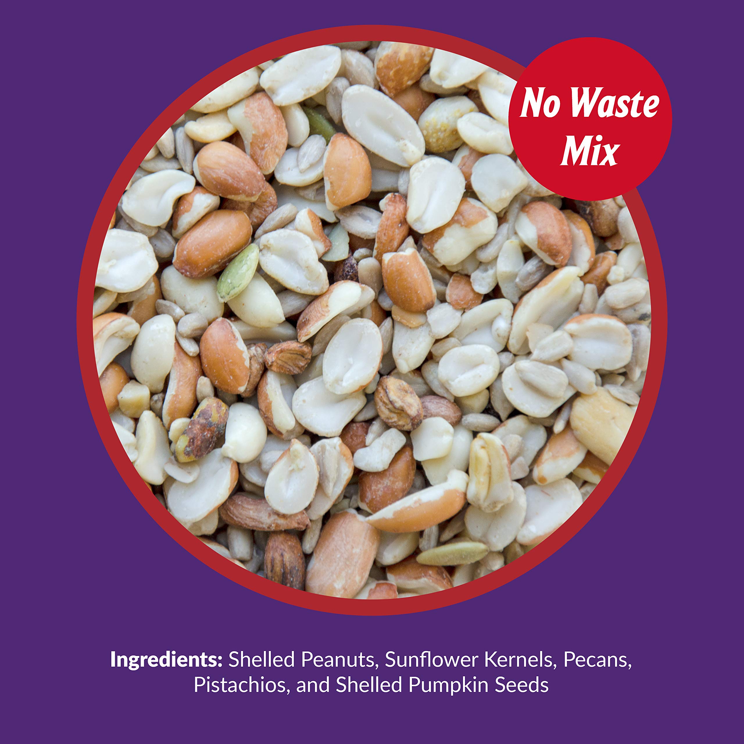 Wagner's Southern Regional Bird Food Mix with Lyric Delite No Waste Bird Seed, 20 lbs