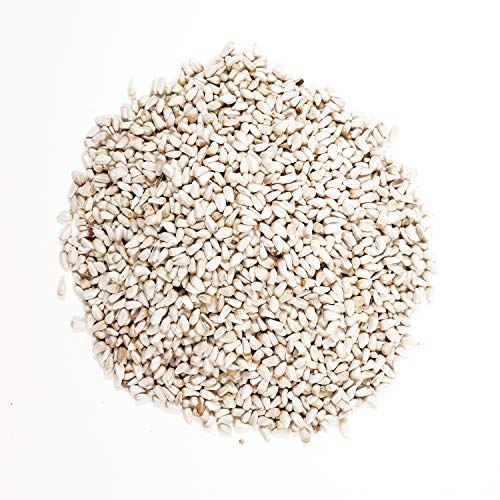 Wagner's 57075 Safflower Seed Wild Bird Food, 5-Pound Bag (Pack of 2)