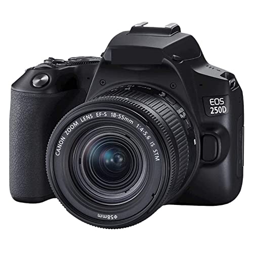 Camera Camera EOS 250D DSLR Digital Camera with EF-S 18-55mm F4-F5.6 STM Lens Digital Camera (Color : EOS 250D)
