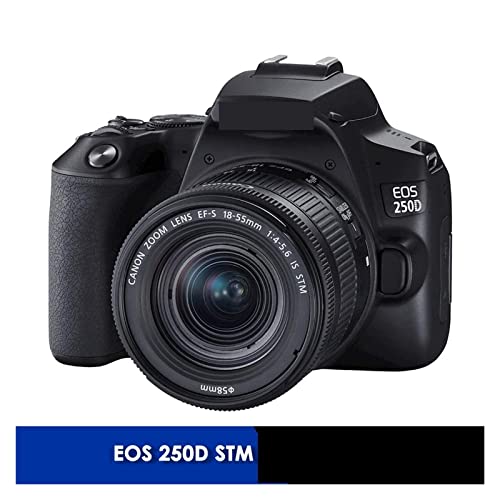 Camera Camera EOS 250D DSLR Digital Camera with EF-S 18-55mm F4-F5.6 STM Lens Digital Camera (Color : EOS 250D)