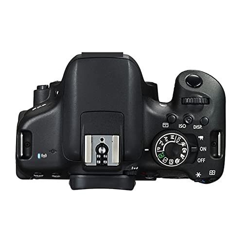 Camera EOS 750D DSLR Camera EF-S 18-55mm F/3.5-5.6 is STM Lens Digital Camera (Size : Body only)