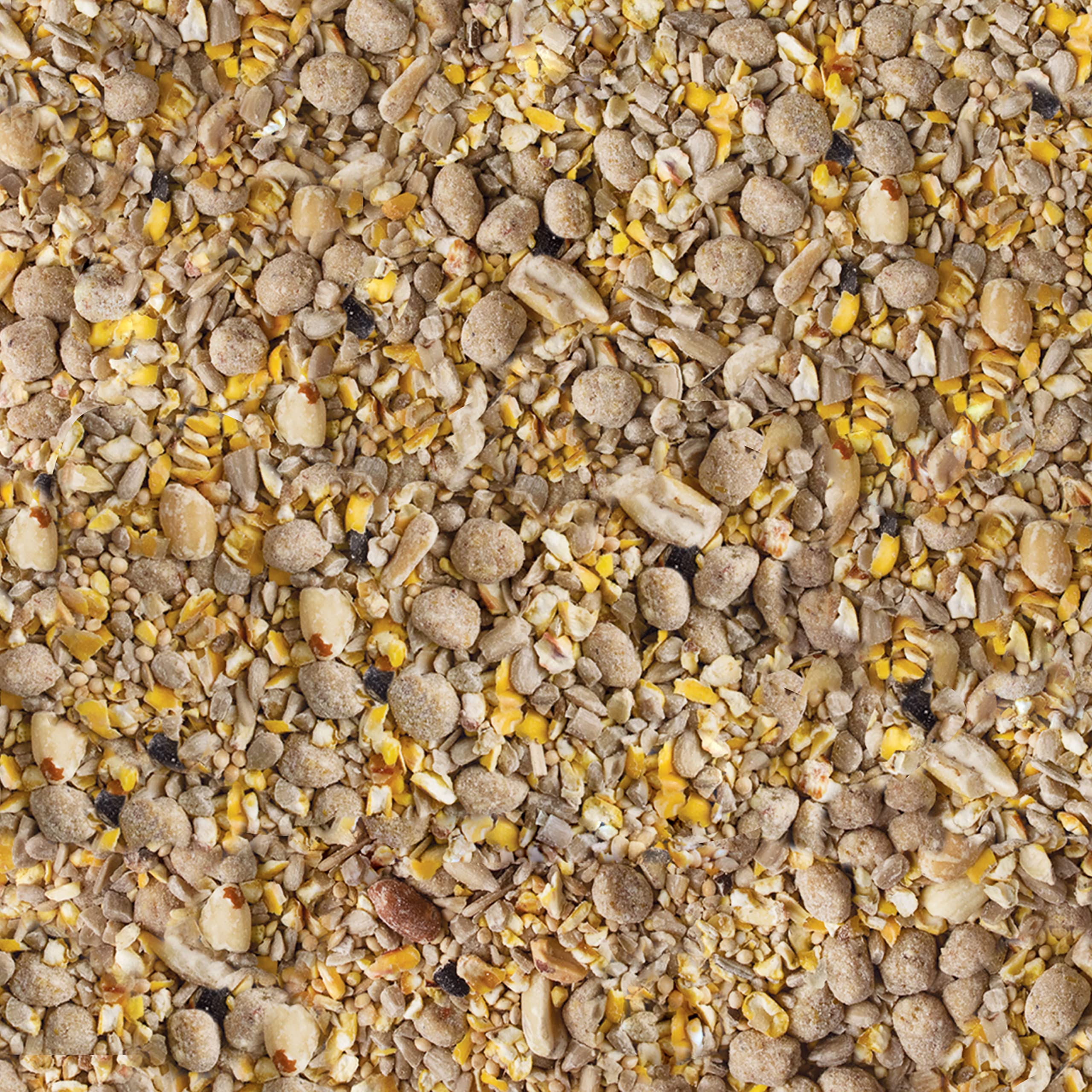 Kaytee Seed & Suet No Mess Peanut 10 Pounds