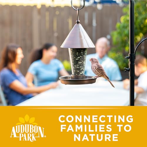 Audubon Park 10427 11286 Black Oil Sunflower Seed Wild Bird Food, 20 lb
