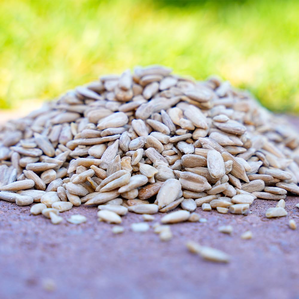 Desert Valley Sunflower Hearts and Chips Seed, All Natural, Non-GMO Premium Wild Bird and Wildlife Food (3 Pounds)