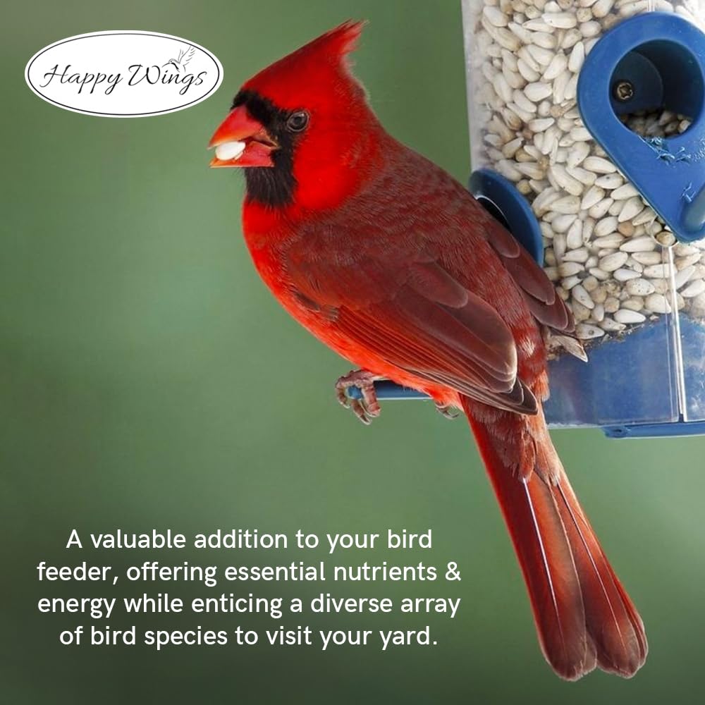 Happy Wings Sunflower Hearts & Chips - Sunflower Kernels and Chips Bird Food- 5 Pounds I No Mess, No Waste Seed| No Grow Seed | Bird Seed for Wild Birds