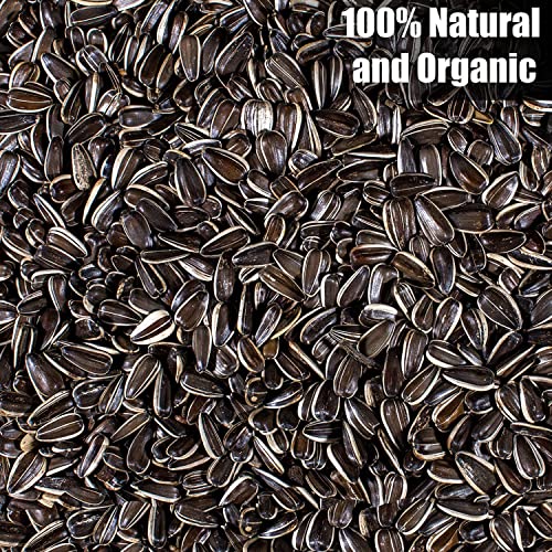 Old Potters Wildlife Striped Sunflower Seeds 3 lbs for Birds and Wildlife, Non-GMO & USA Grown, Attracts Birds (3 Pounds)