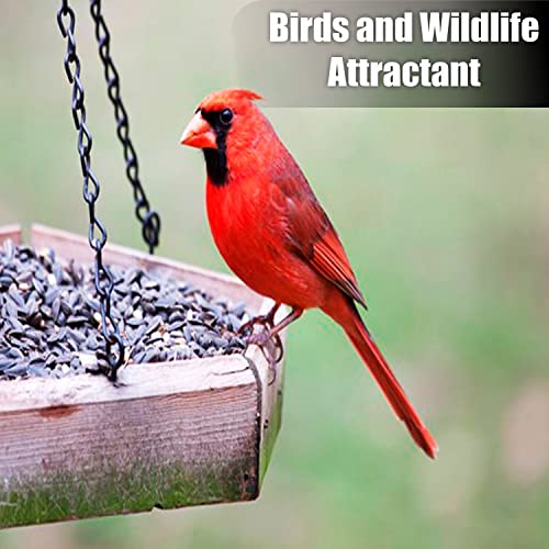 Old Potters Wildlife Striped Sunflower Seeds 3 lbs for Birds and Wildlife, Non-GMO & USA Grown, Attracts Birds (3 Pounds)