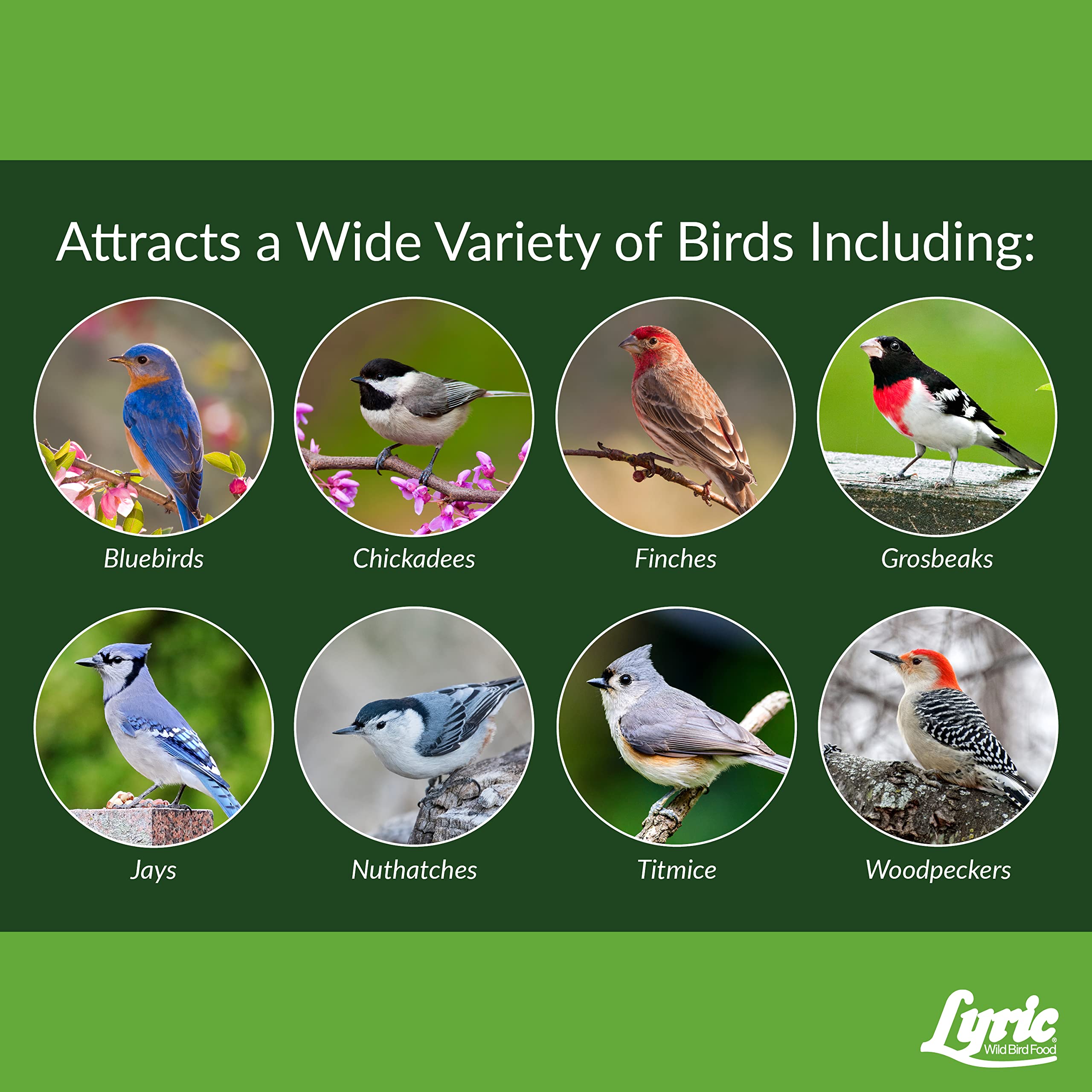 Lyric Fine Tunes Wild Bird Seed - No Waste Bird Food Mix - Attracts Bluebirds, Finches, Chickadees & More - 5 lb bag
