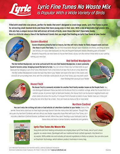Lyric Fine Tunes Wild Bird Seed - No Waste Bird Food Mix - Attracts Bluebirds, Finches, Chickadees & More - 5 lb bag