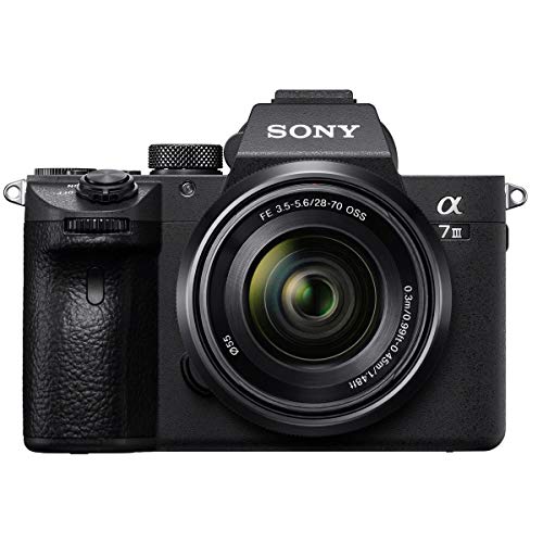 Sony Alpha a7 III Mirrorless Digital Camera with 28-70mm Lens Speedlight Bundle Flashpoint Zoom Li-ion R2 TTL On-Camera Flash, Bag, 64GB SD Card and Accessories
