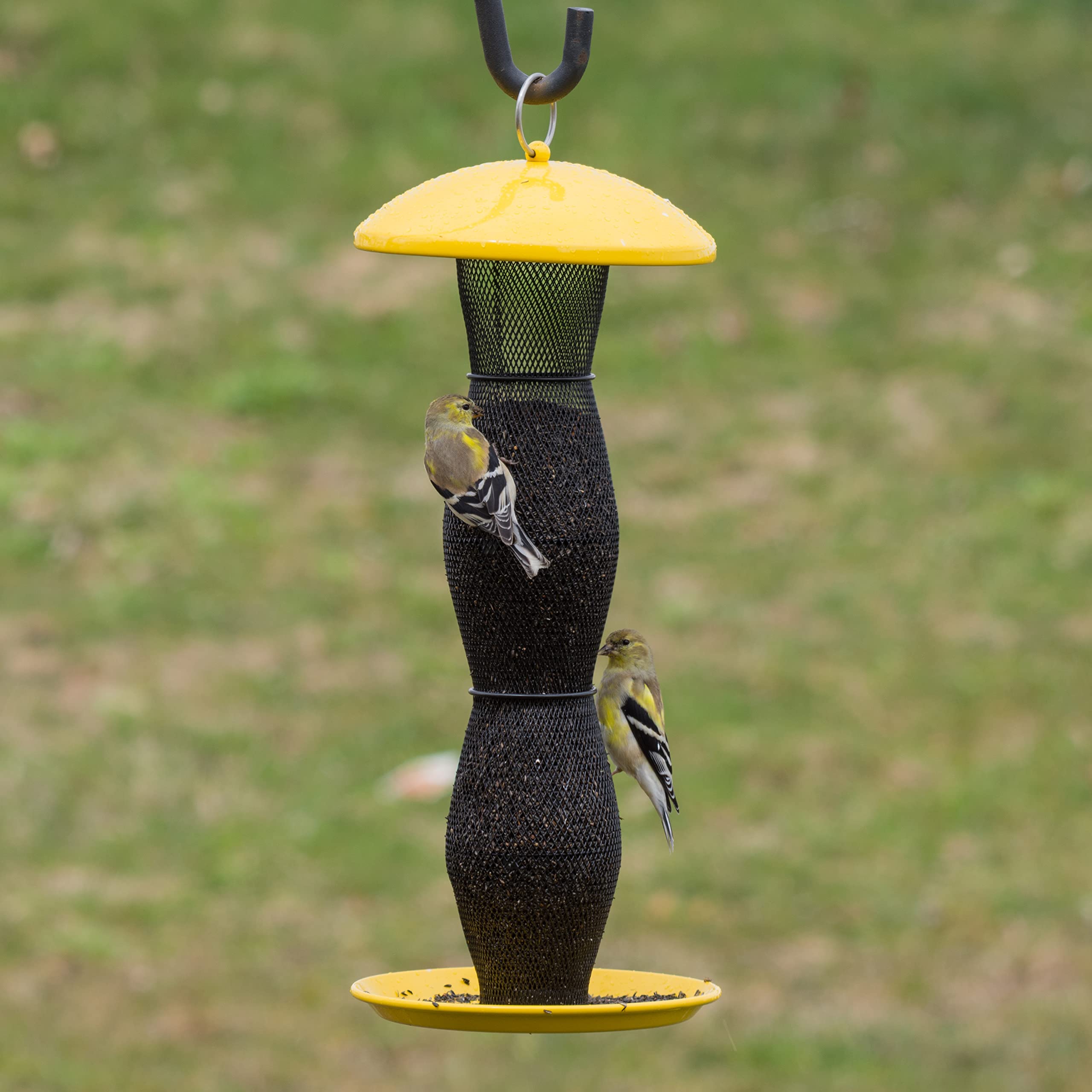 Perky-Pet Yellow & Black YB5F00340 Finch Tube Wild Bird Feeder