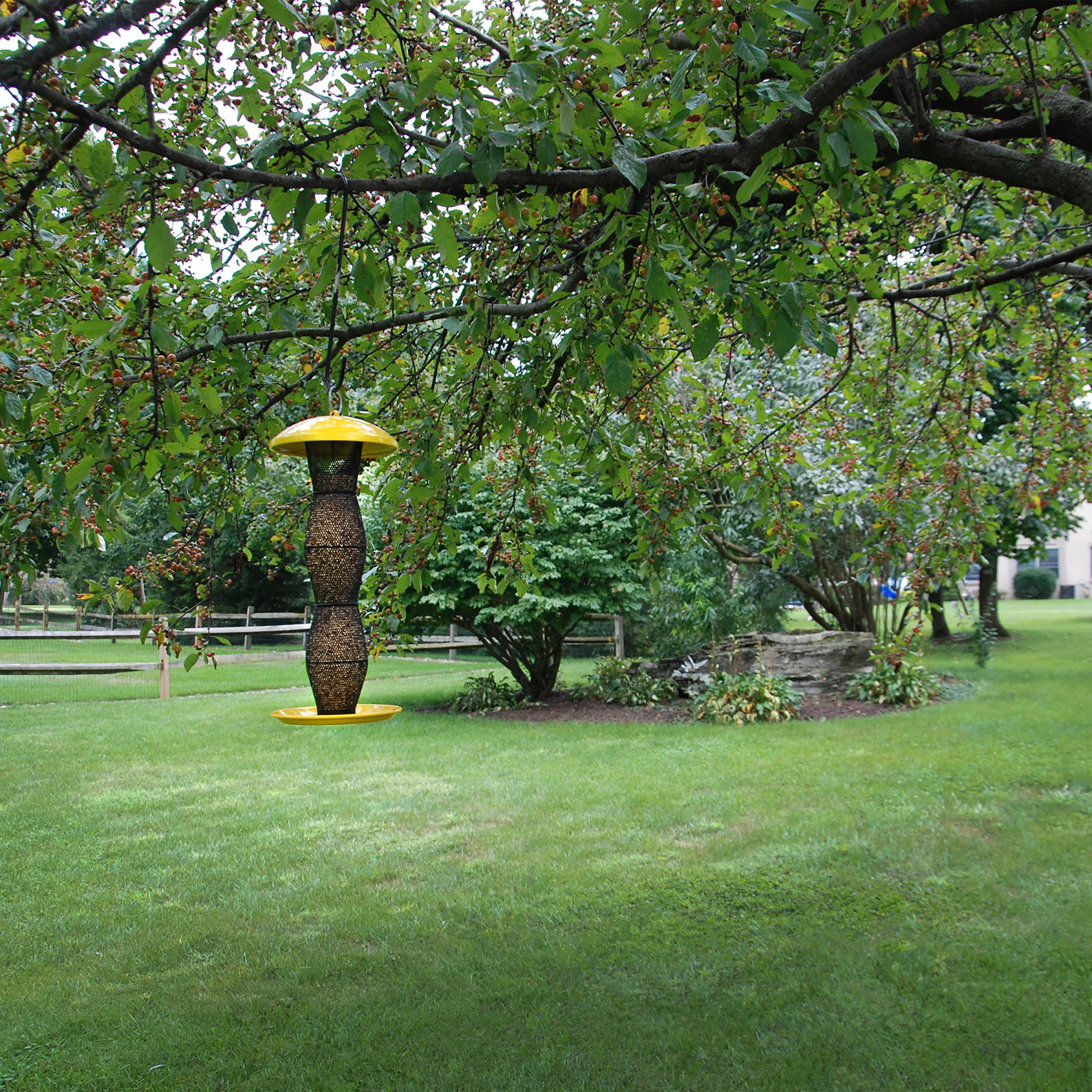 Perky-Pet Yellow & Black YB5F00340 Finch Tube Wild Bird Feeder