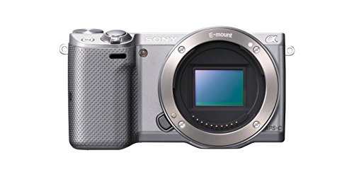 Sony NEX-5TL/S Mirrorless Digital Camera with 16-50mm Power Zoom Lens (Silver)