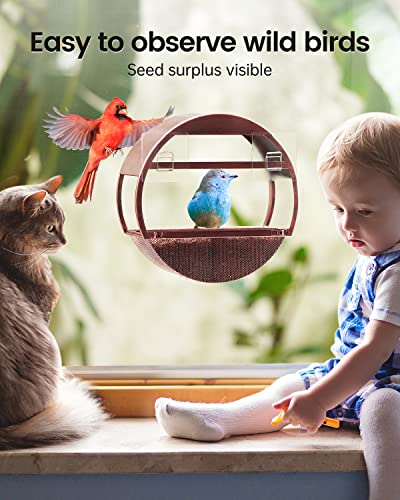 Window Bird Feeder, Desgully Metal Window Bird Feeder, Window Bird Feeders with Strong Suction Cups, Super Adhesive Sheet×4,Large Outdoor Bird Feeder, Bird Watching (Round)