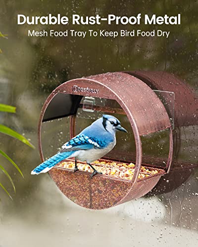 Window Bird Feeder, Desgully Metal Window Bird Feeder, Window Bird Feeders with Strong Suction Cups, Super Adhesive Sheet×4,Large Outdoor Bird Feeder, Bird Watching (Round)