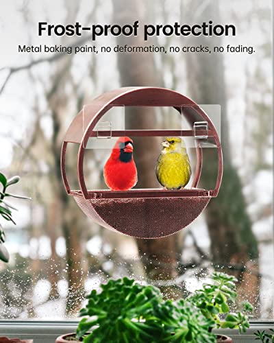Window Bird Feeder, Desgully Metal Window Bird Feeder, Window Bird Feeders with Strong Suction Cups, Super Adhesive Sheet×4,Large Outdoor Bird Feeder, Bird Watching (Round)