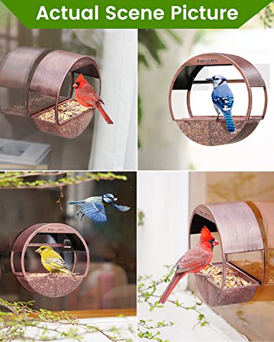 Window Bird Feeder, Desgully Metal Window Bird Feeder, Window Bird Feeders with Strong Suction Cups, Super Adhesive Sheet×4,Large Outdoor Bird Feeder, Bird Watching (Round)