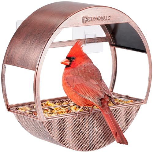 Window Bird Feeder, Desgully Metal Window Bird Feeder, Window Bird Feeders with Strong Suction Cups, Super Adhesive Sheet×4,Large Outdoor Bird Feeder, Bird Watching (Round)