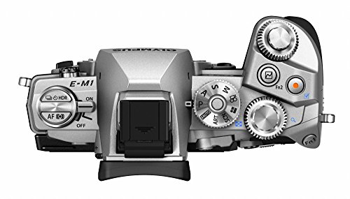 Olympus OM-D E-M1 16MP Mirrorless Digital Camera with 3-Inch LCD (Body Only) (Silver w/ Black Trim)