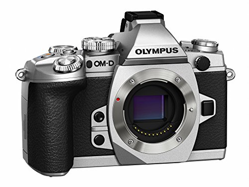 Olympus OM-D E-M1 16MP Mirrorless Digital Camera with 3-Inch LCD (Body Only) (Silver w/ Black Trim)