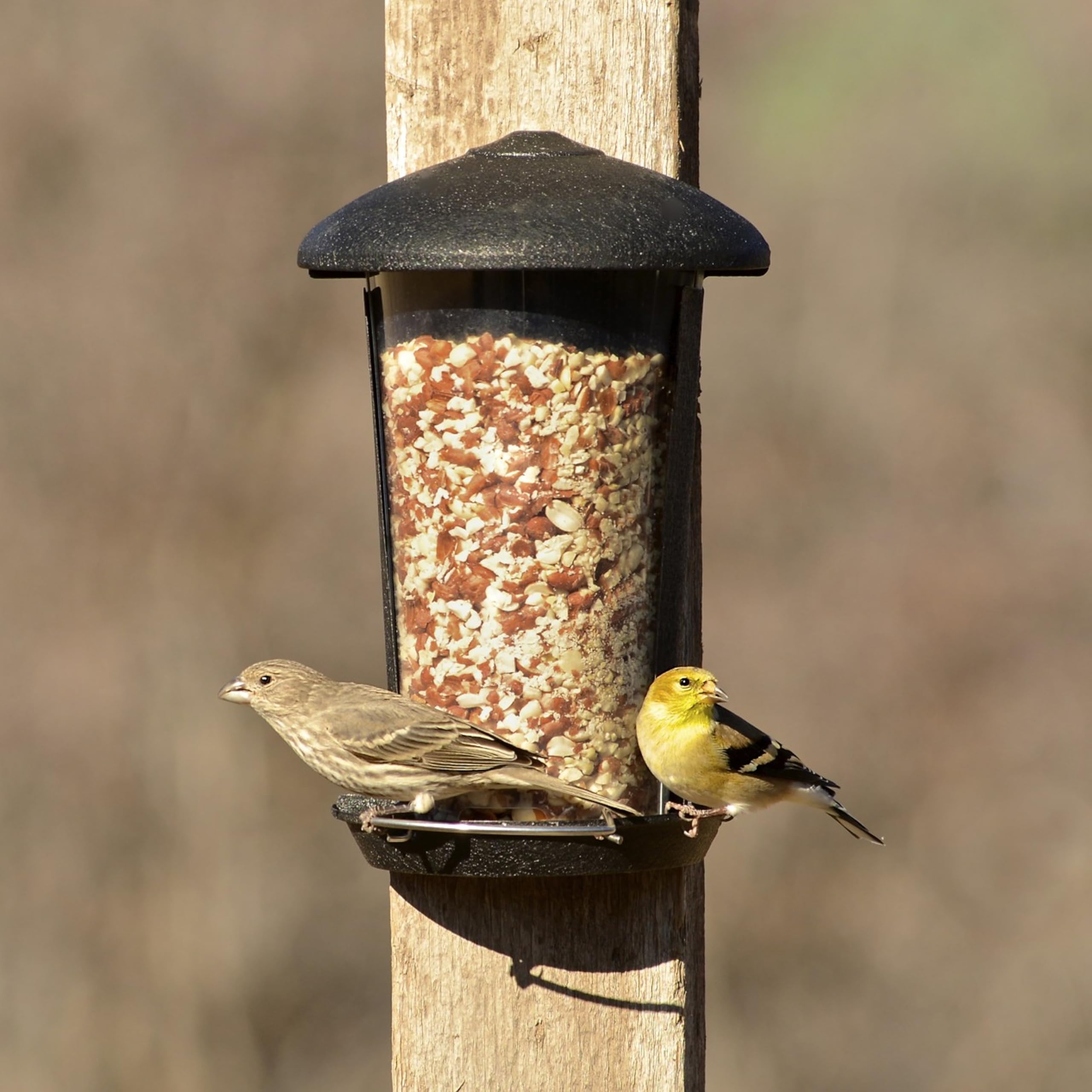 Perky-Pet 101-5 Wall and Post Mount Wild Bird Feeder