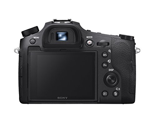 Sony Cyber?Shot RX10 IV with 0.03 Second Auto-Focus & 25x Optical Zoom (DSC-RX10M4) (Renewed)