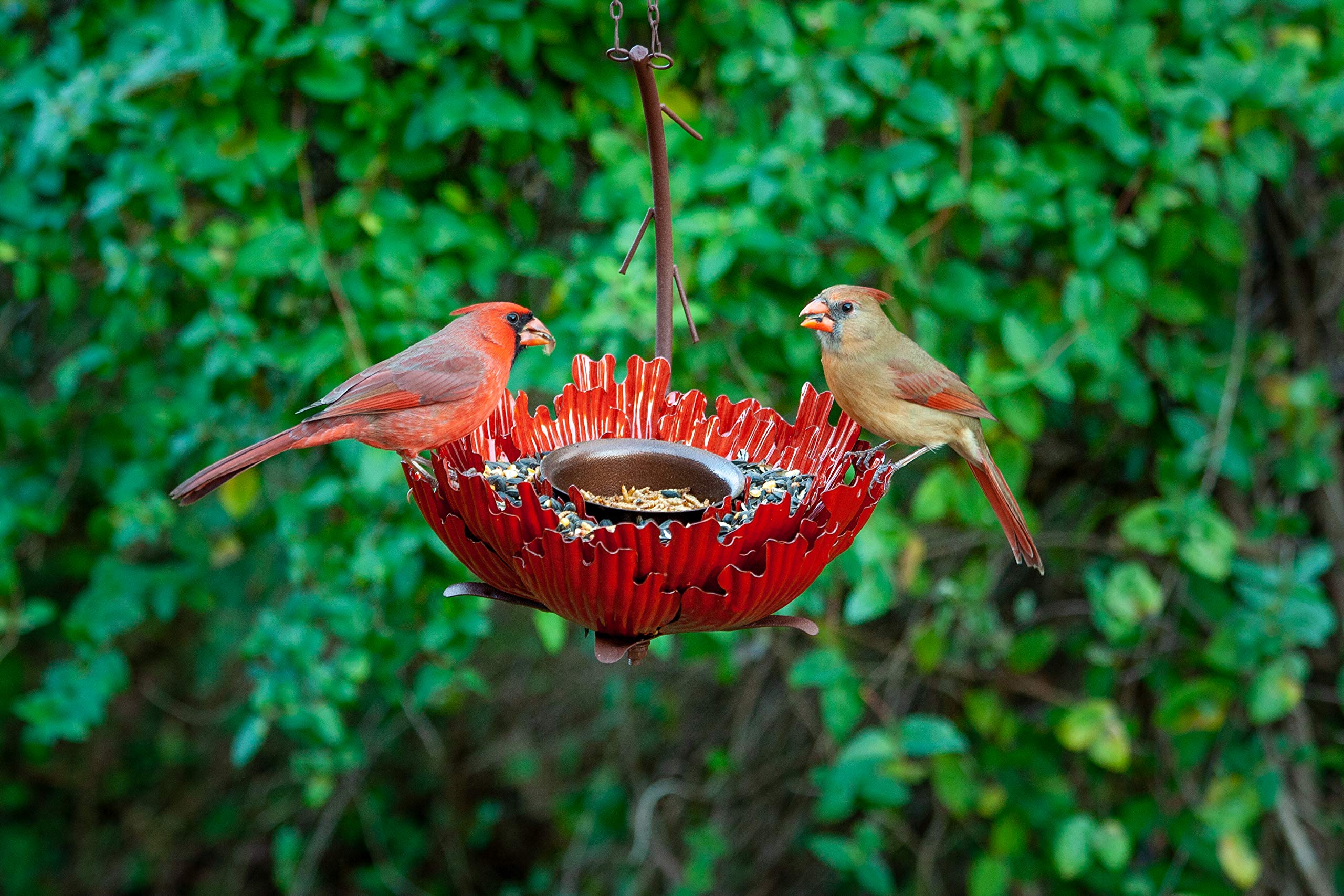 Desert Steel Coral Sunset Peony Hanging Feeder - (Orange - 9”W x 11.5”H) - Loose Seed Metal Birdfeeder